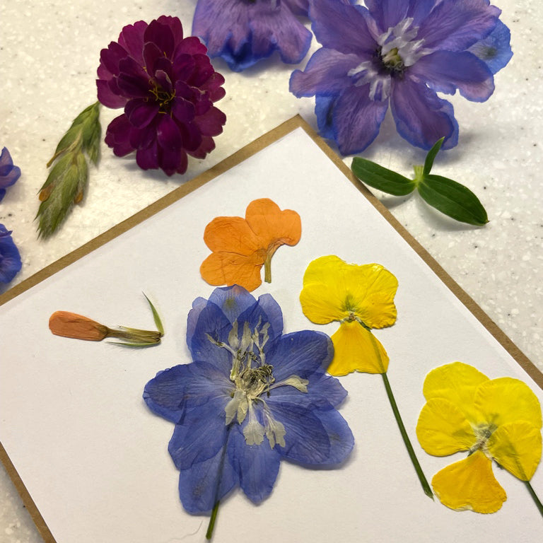 Bookmaking Class: Travelers Flower Press Books – Beyond the Fold