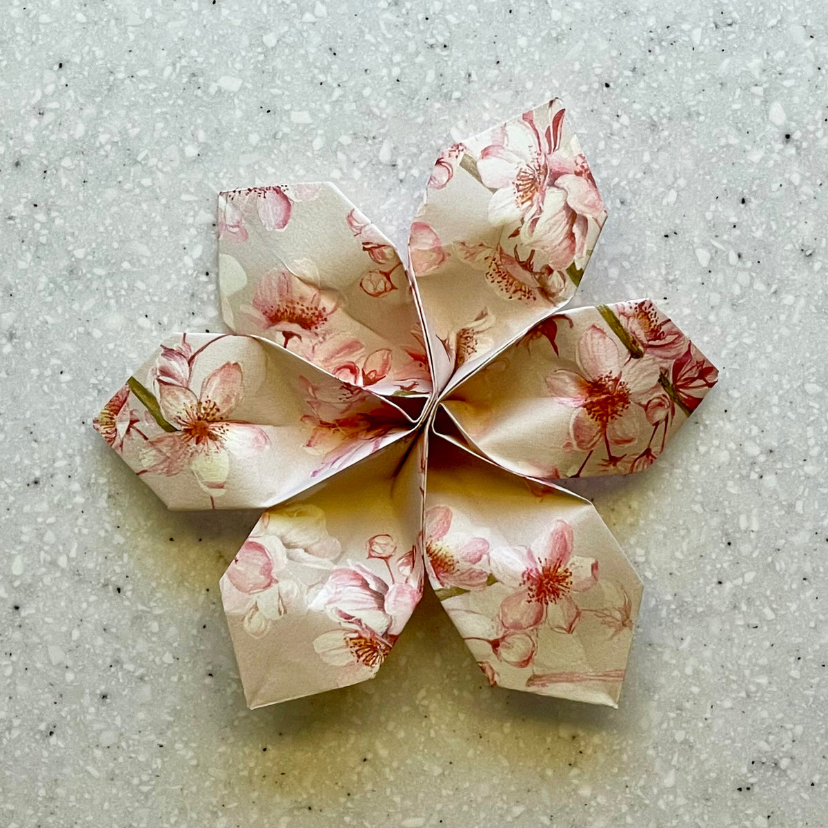 Free Download: Springtime Flower – Beyond the Fold