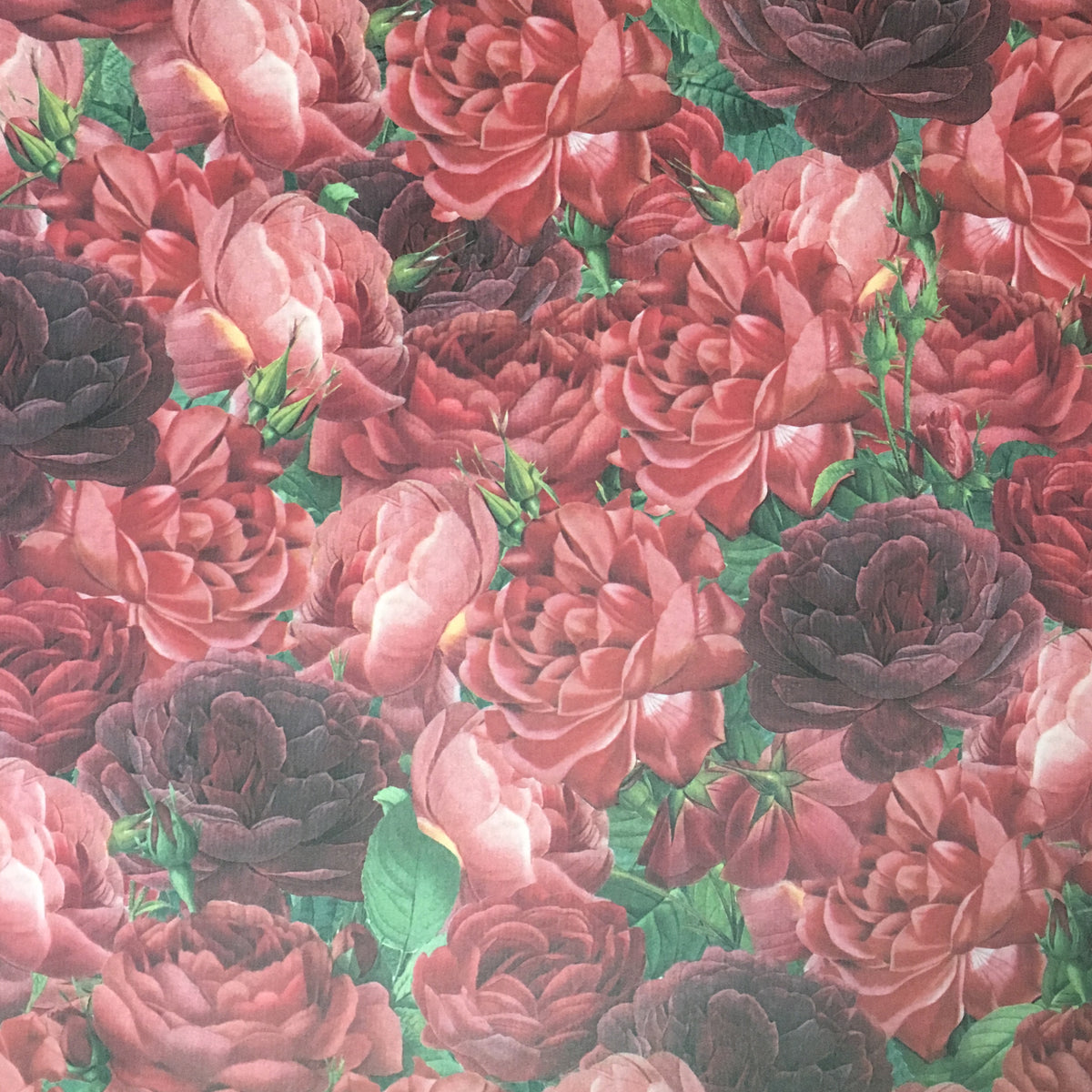 Summer Red Roses Flat Wrap – Beyond the Fold